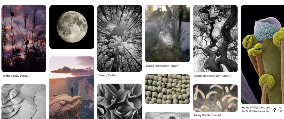 23+ Pinterest Board Ideas - BlogItUplife