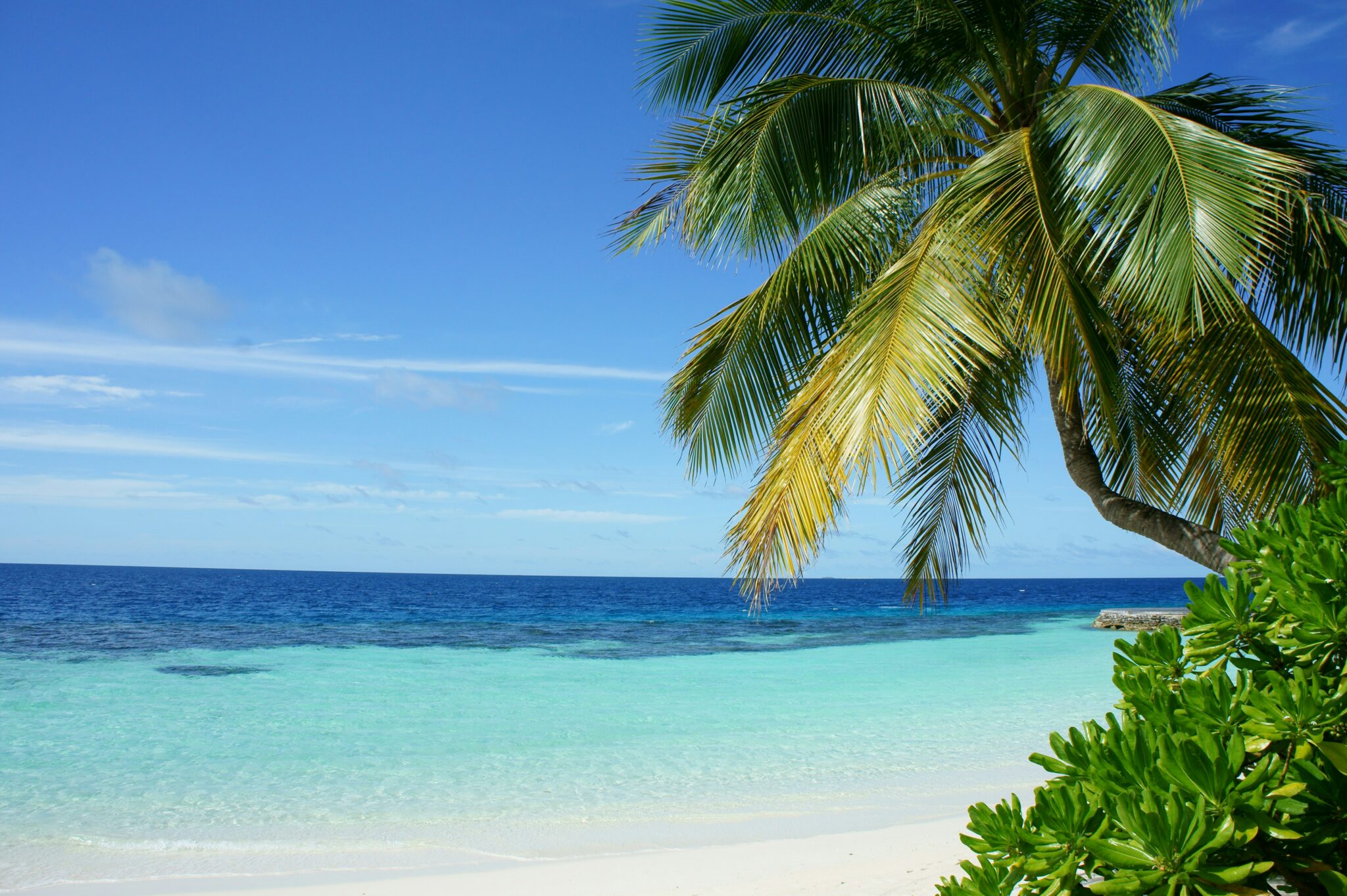 310+ Catchy Travel Blog Names - BlogItUplife