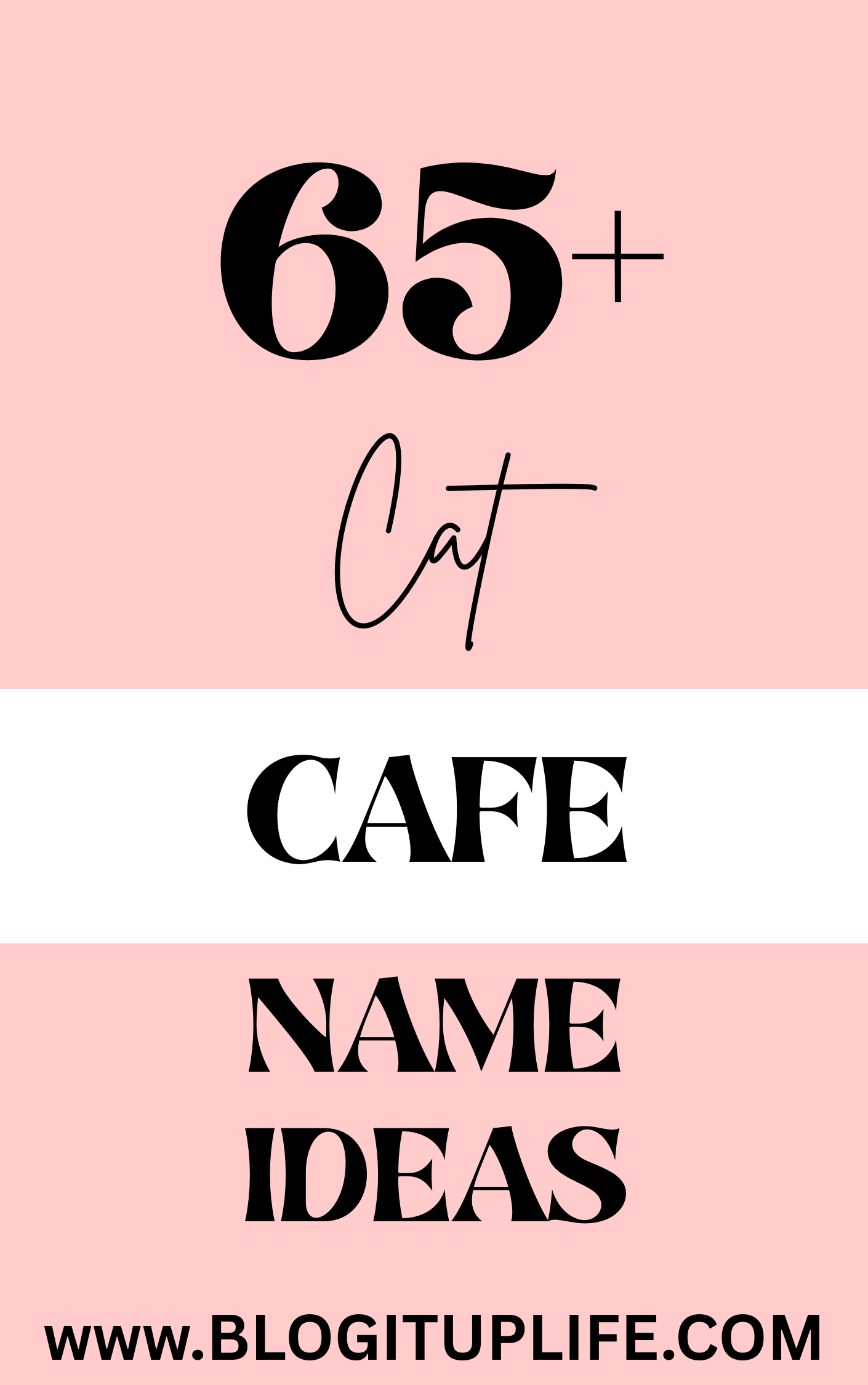 65+ Cat Cafe Names For Your New Business - BlogItUplife