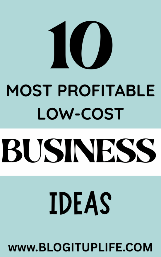 10 Low Cost Business Ideas To Start Right Now - BlogItUplife